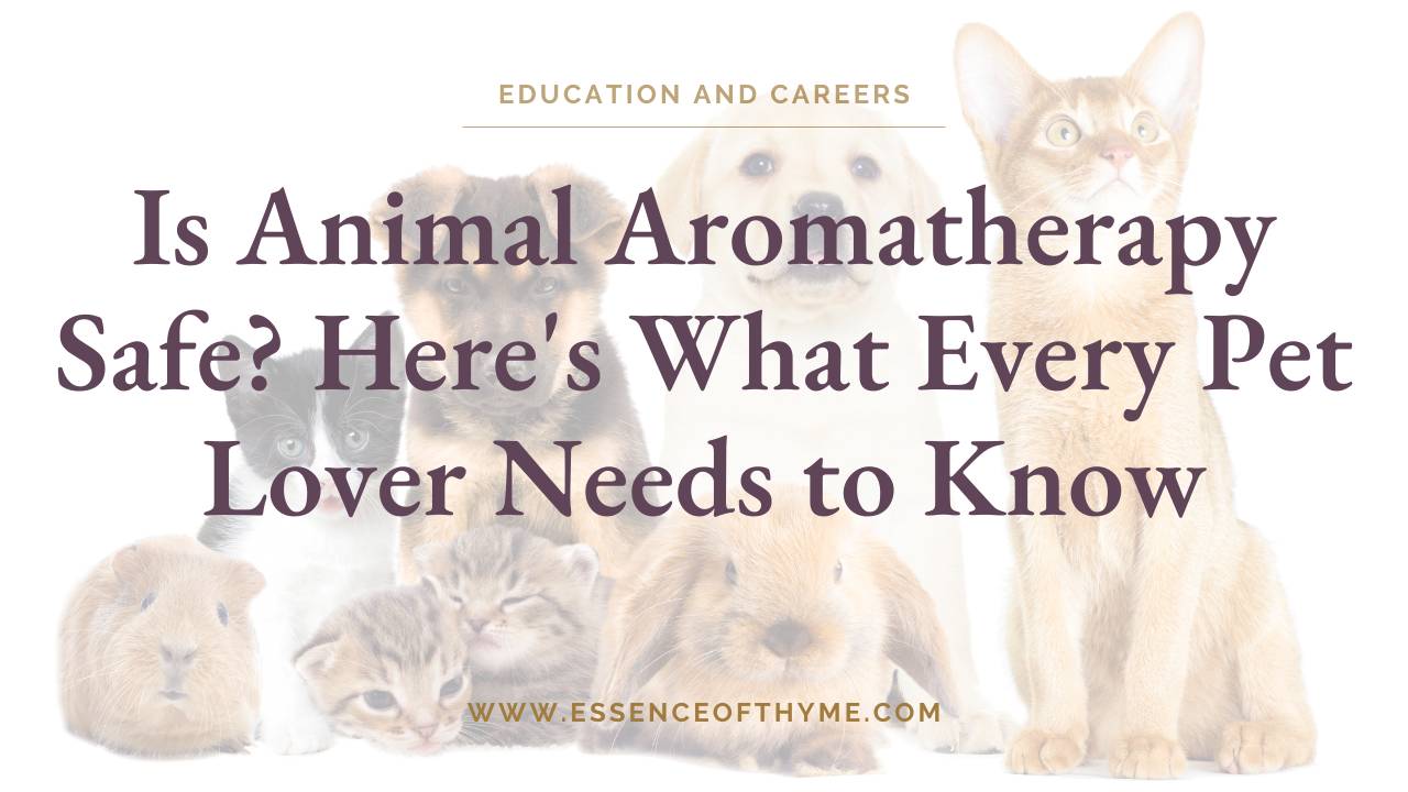 Is Animal Aromatherapy Safe?