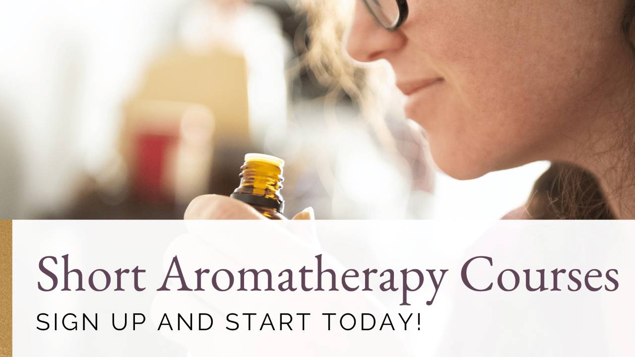 Short Aromatherapy Courses | Essence of Thyme