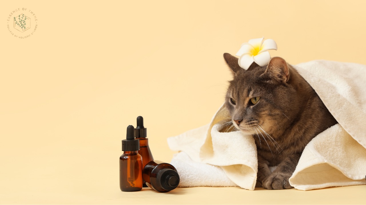 Safe and Empowering Ways to Use Essential Oils on Animals
