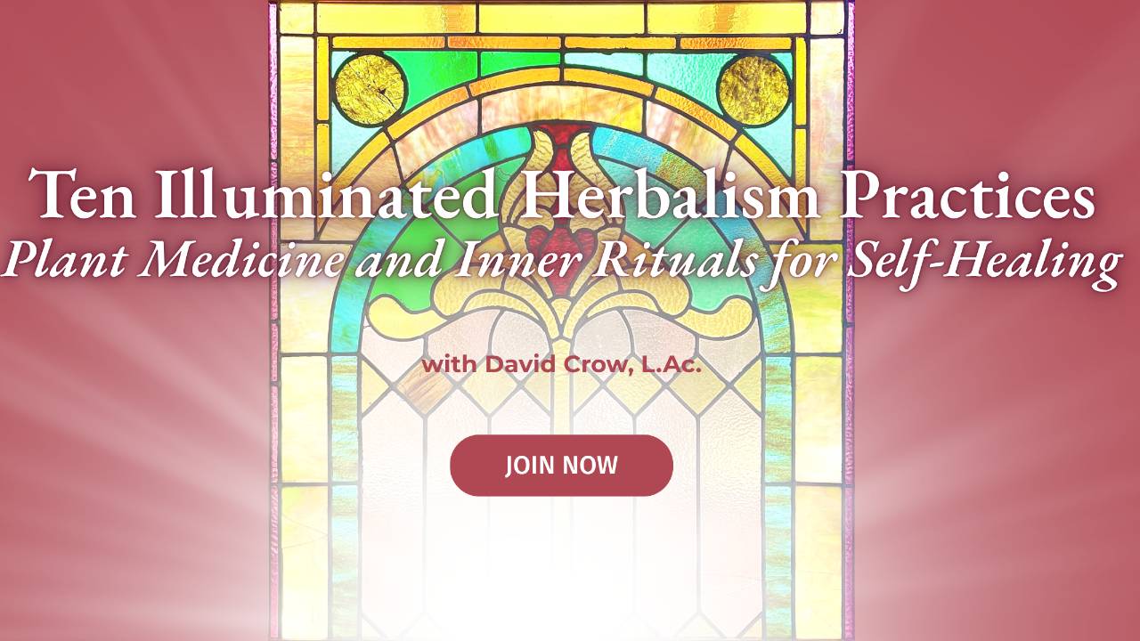 Ten Illuminated Herbalism Practices