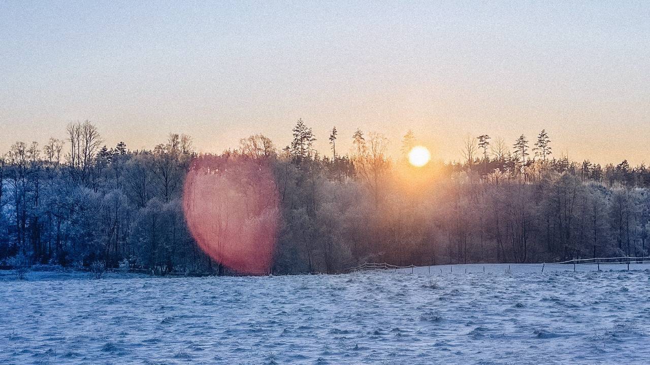 FEBRUARI