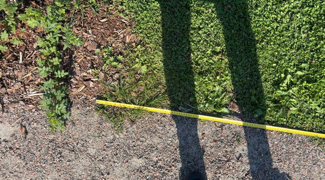 The One Step Most Home Gardeners Should't Skip: Measuring Your Garden