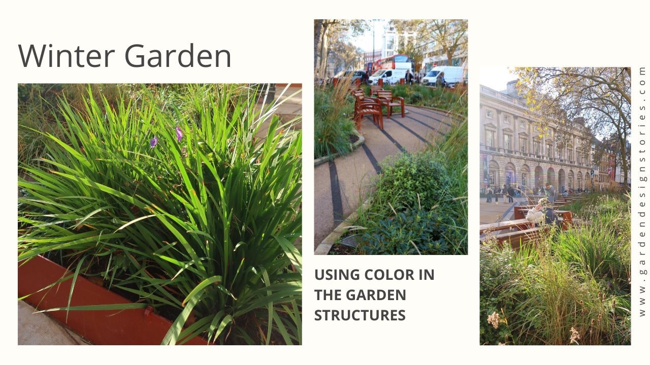 Winter Garden: Adding Vibrant Hues to Lift Your Outdoor Space
