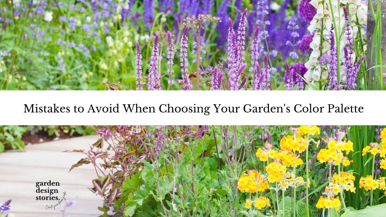 7 Mistakes to Avoid When Choosing Your Garden's Color Palette