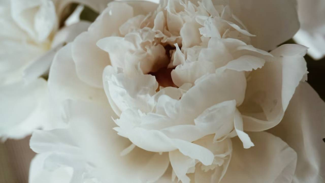 The Wedding Masterclass Fancy A Sneak Peek