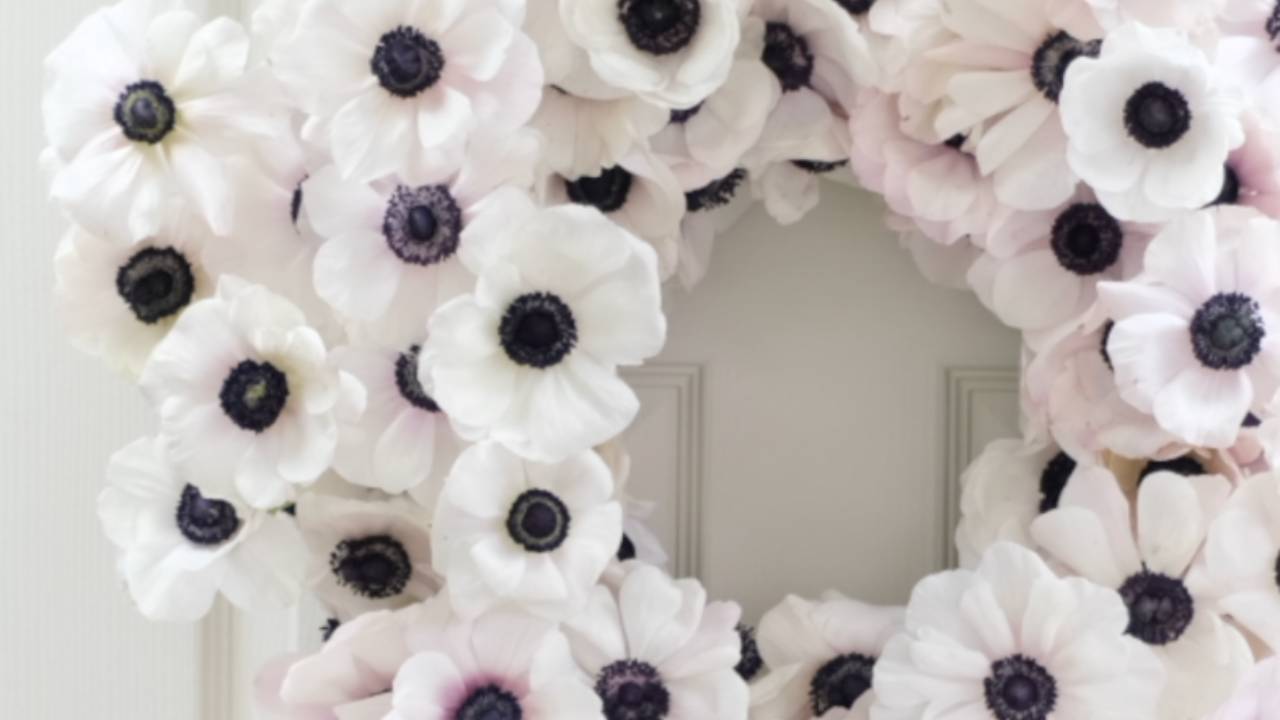 Flower Class Freebie : Anemone Wreth