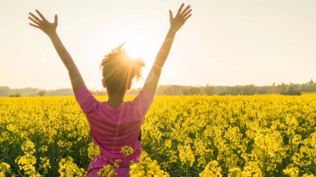 Pre Algebra Course Preview