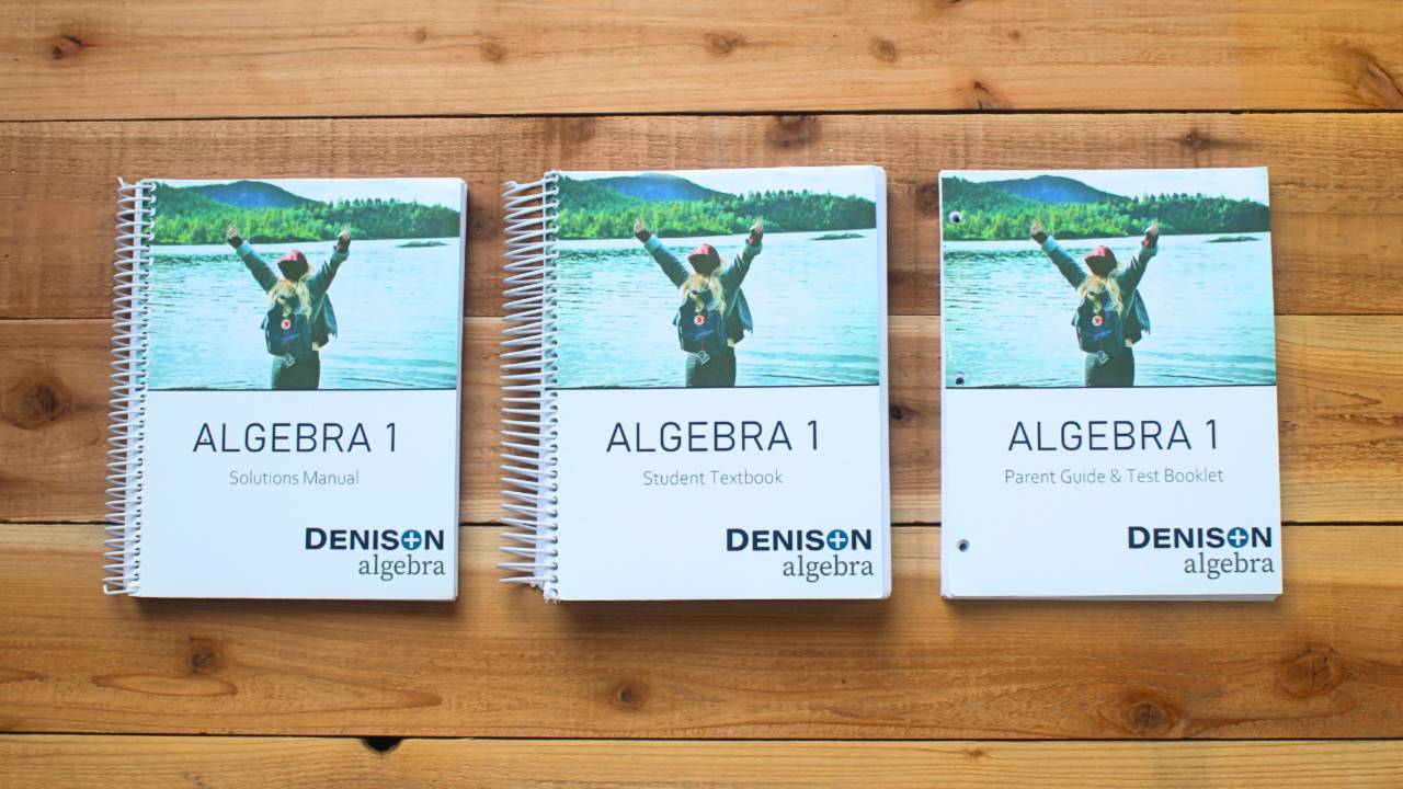 Algebra 1 Course Preview