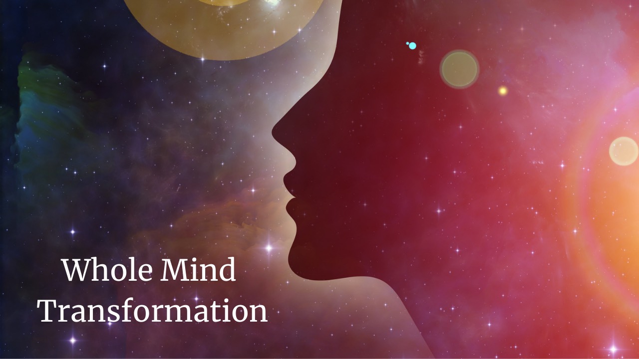 Whole Mind Transform package