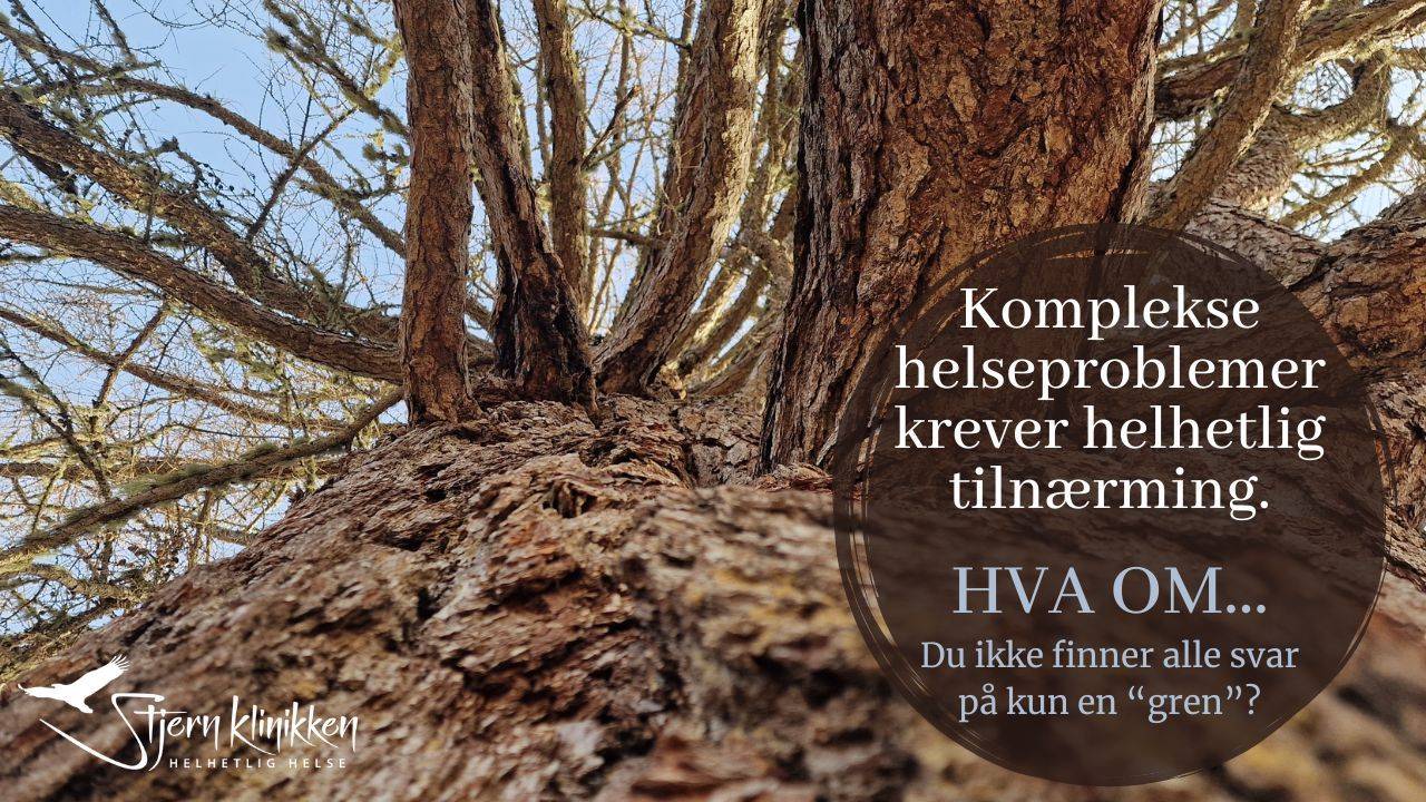 Komplekse helseproblemer krever helhetlig tilnærming