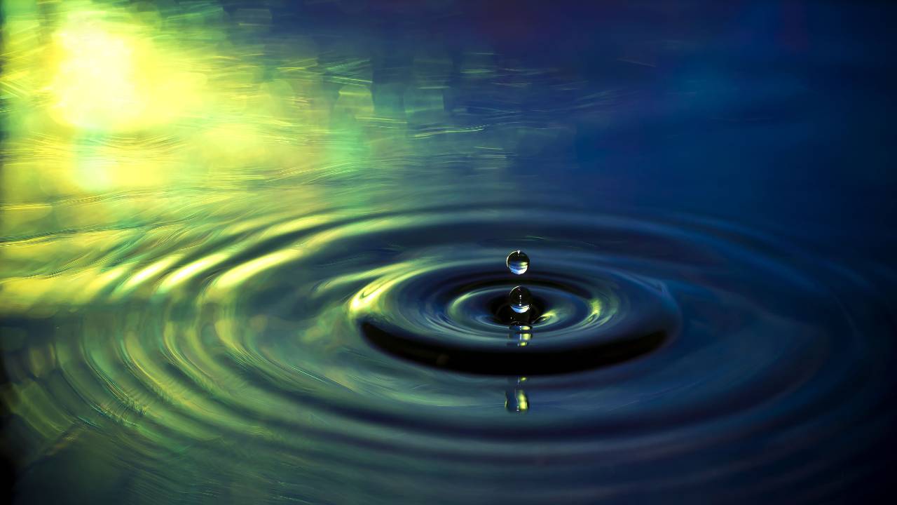 The Narrative Coach Program | The Moment Institute