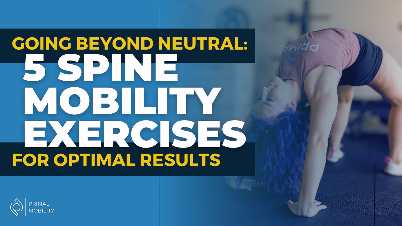 Spine Mobility Exercises | Primal Mobility