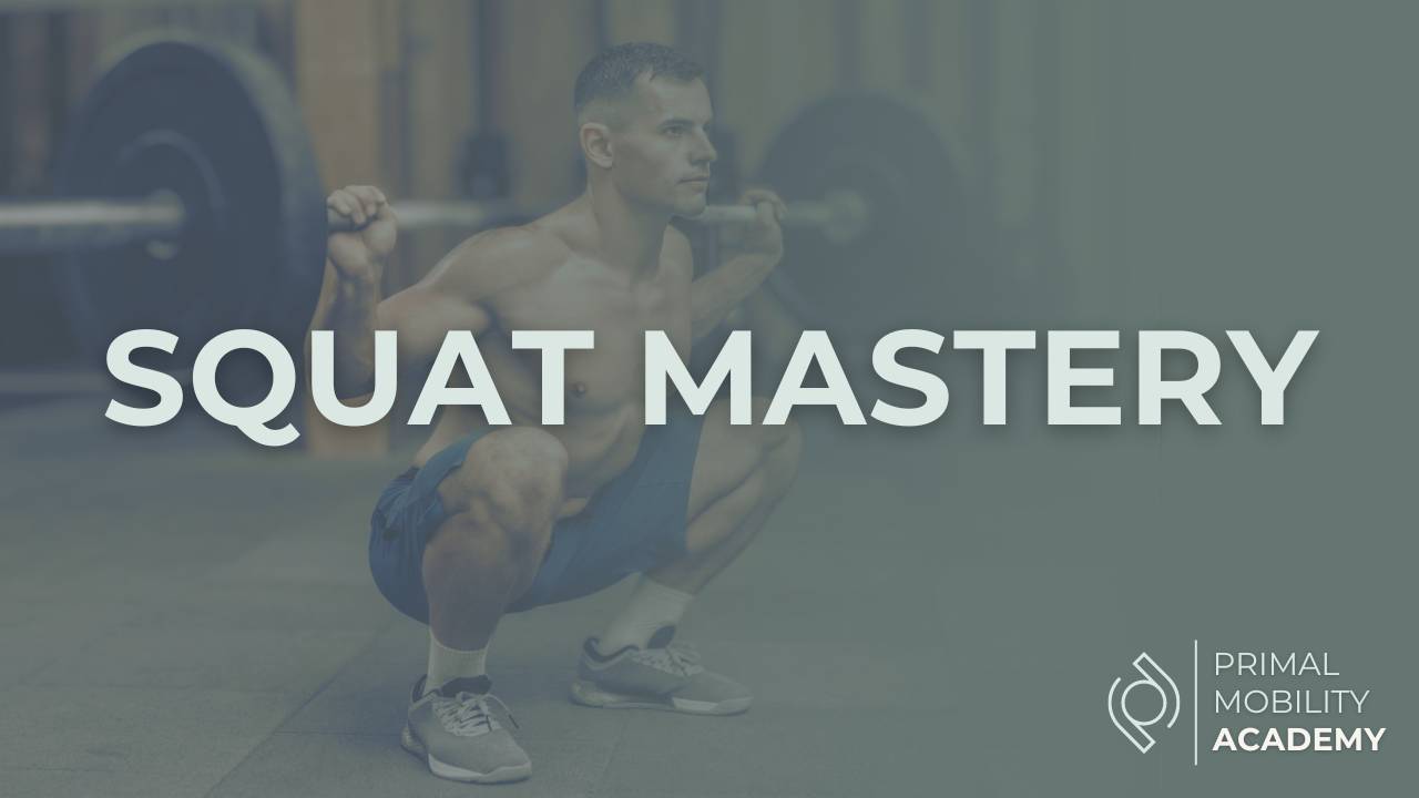 Squat Mastery | Primal Mobility