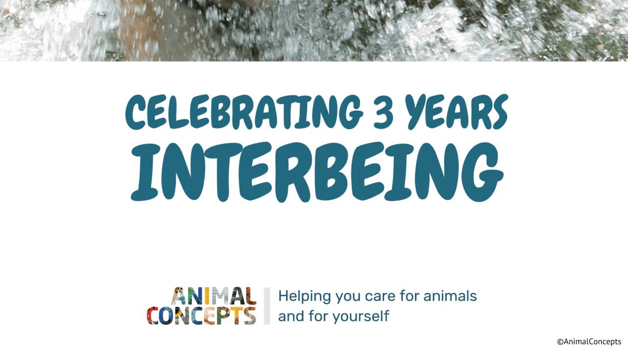 Celebrating 3 years together