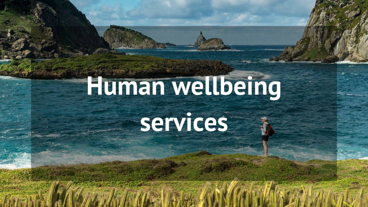 Human wellbeing