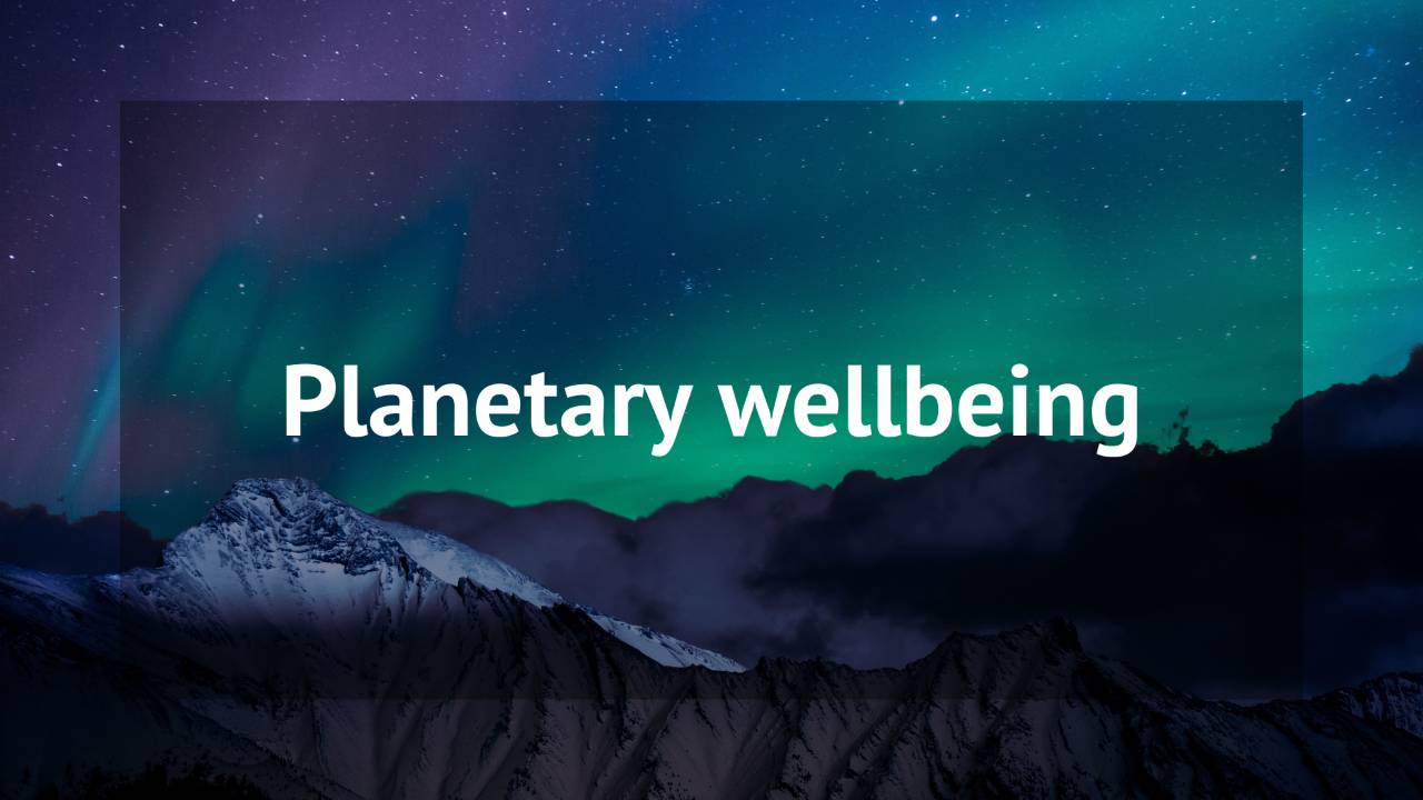 Planetary wellbeing