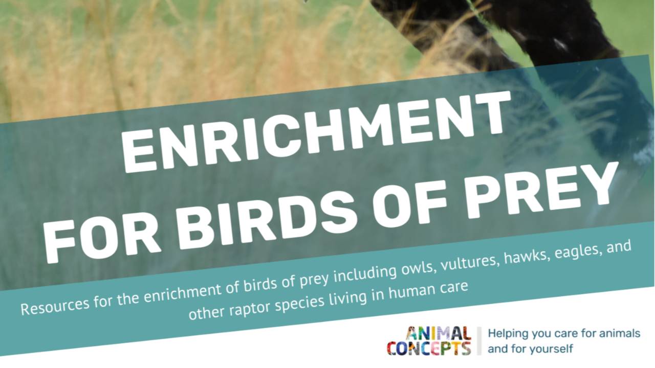Free resource "Enrichment for birds of prey"