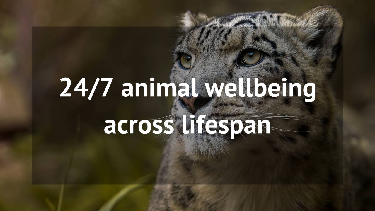 The 24/7 approach to animal wellbeing
