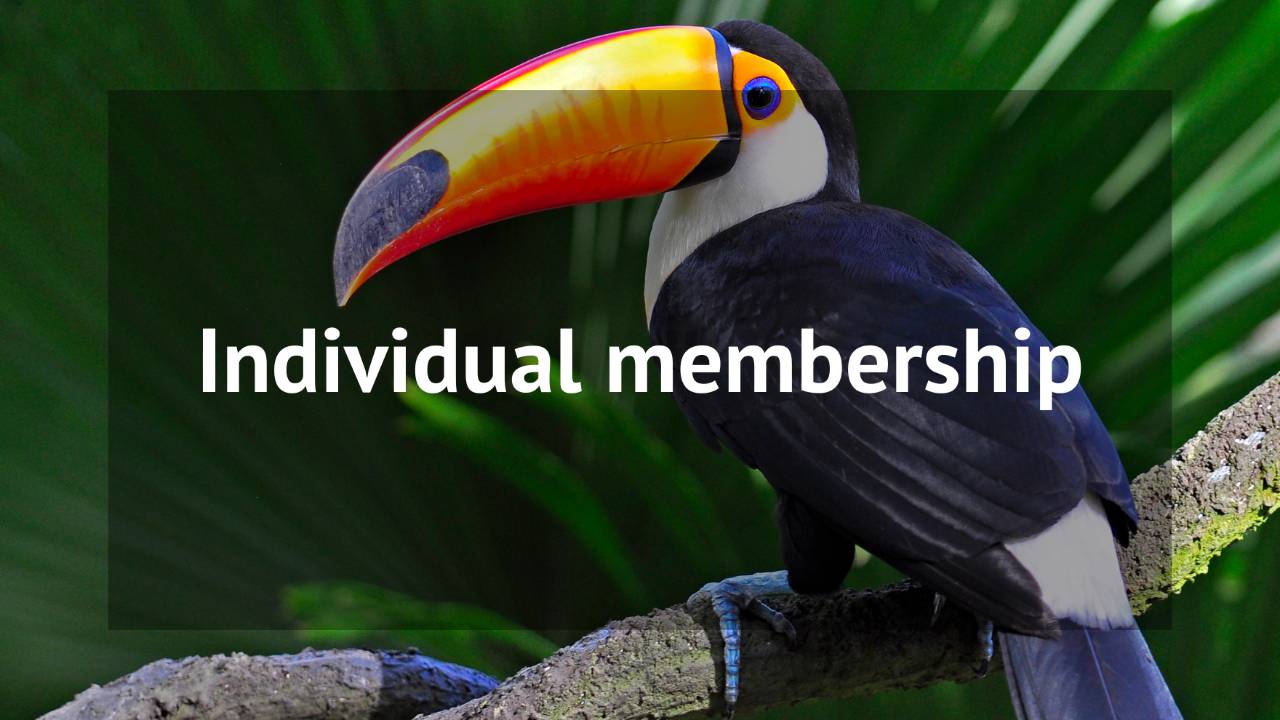 Individual membership to INTERBEING platforms by AnimalConcepts