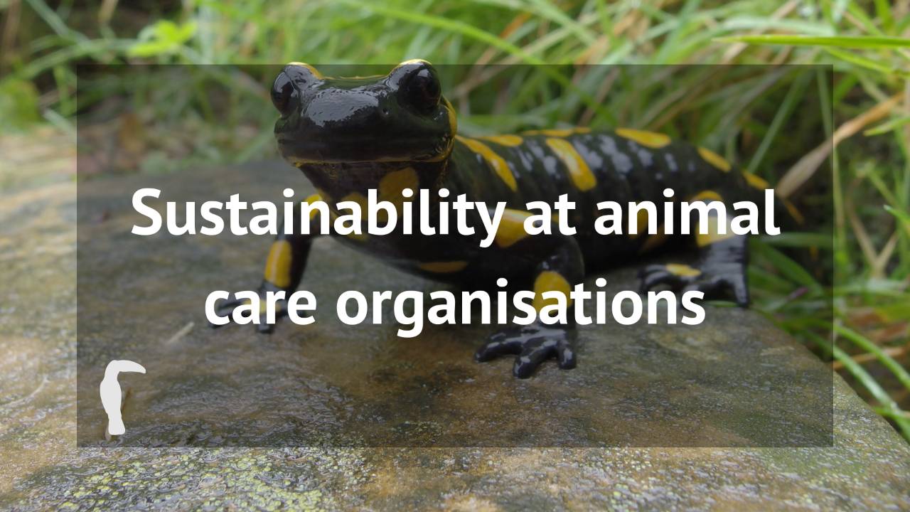 Sustainable practices at zoos & sleep in the digital age