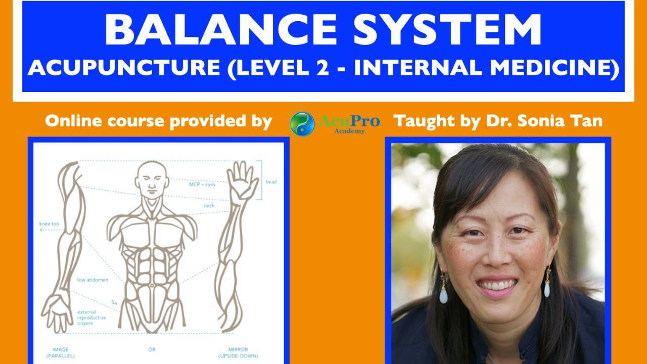 Balance Acupuncture Foundations Level 2 Course