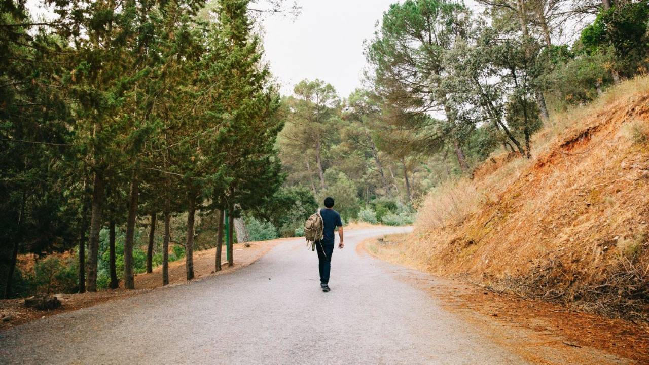 Six Ways to Practice Mindful Awe Walks