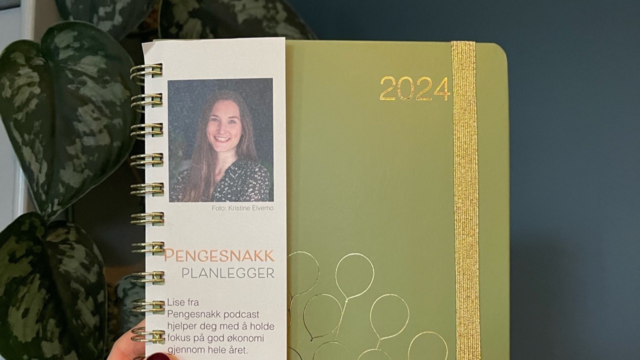 Pengesnakk planlegger 2024