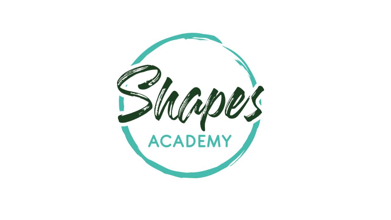 The Shapes Academy - for leaders under pressure in healthcare