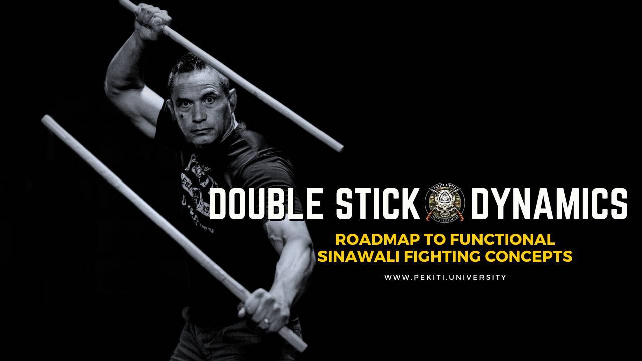 Double Stick Dynamics