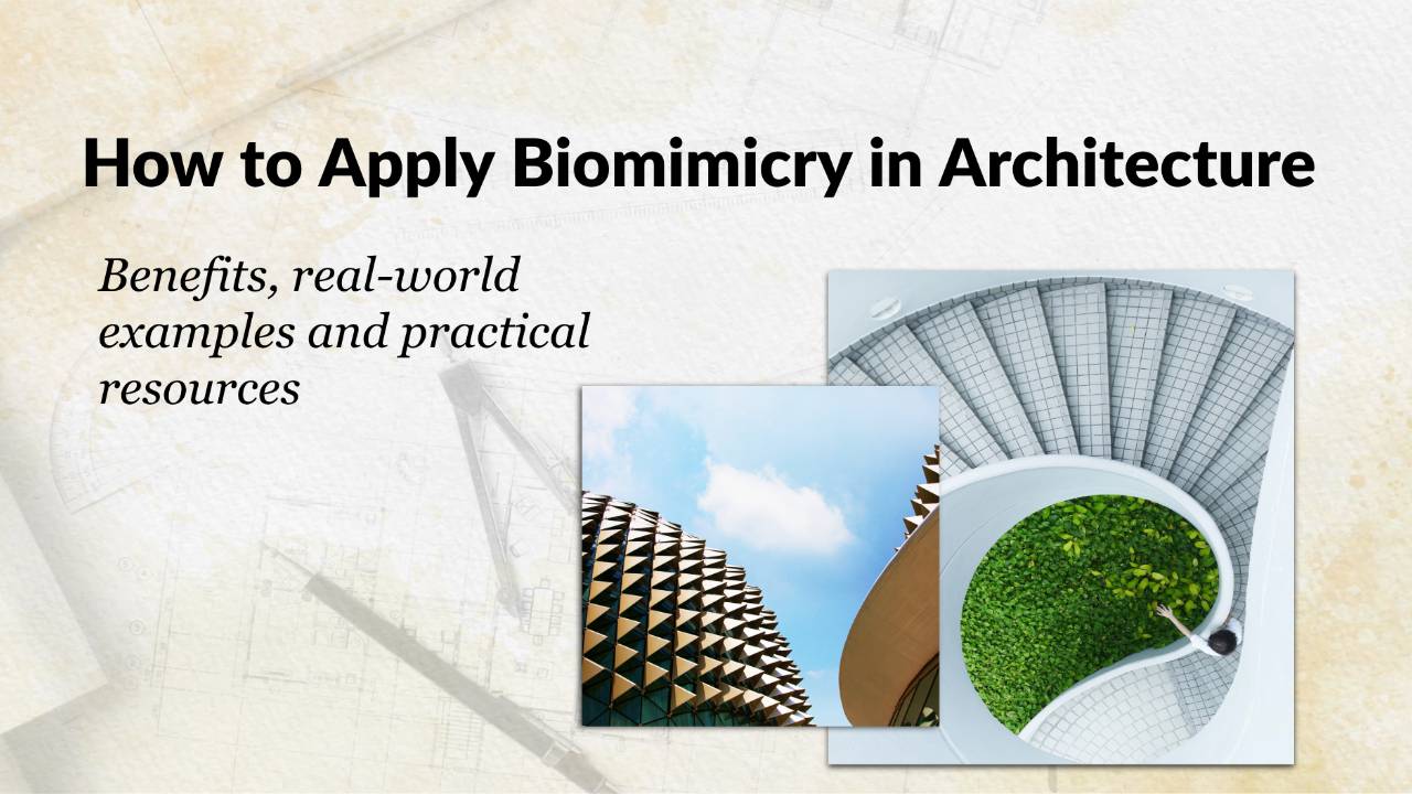 How to Apply Biomimicry in Architecture