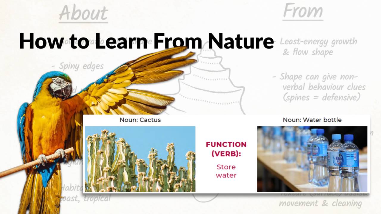 How to Learn From Nature