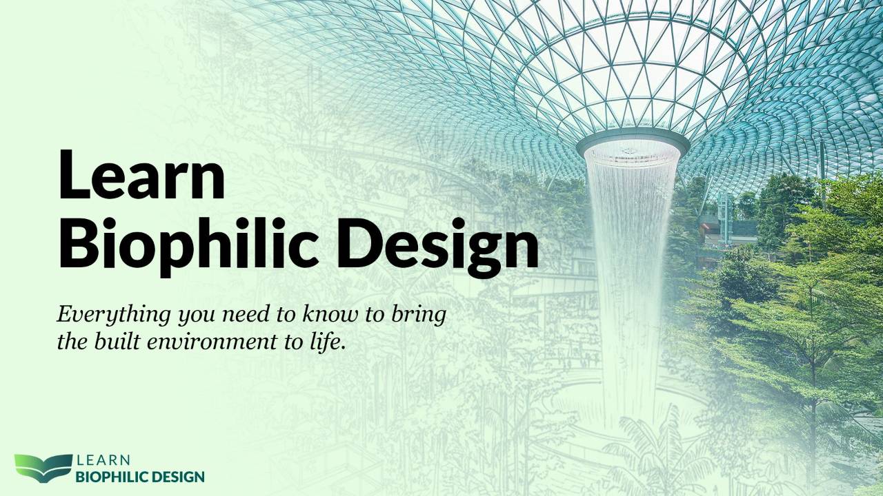 Learn Biophilic Design