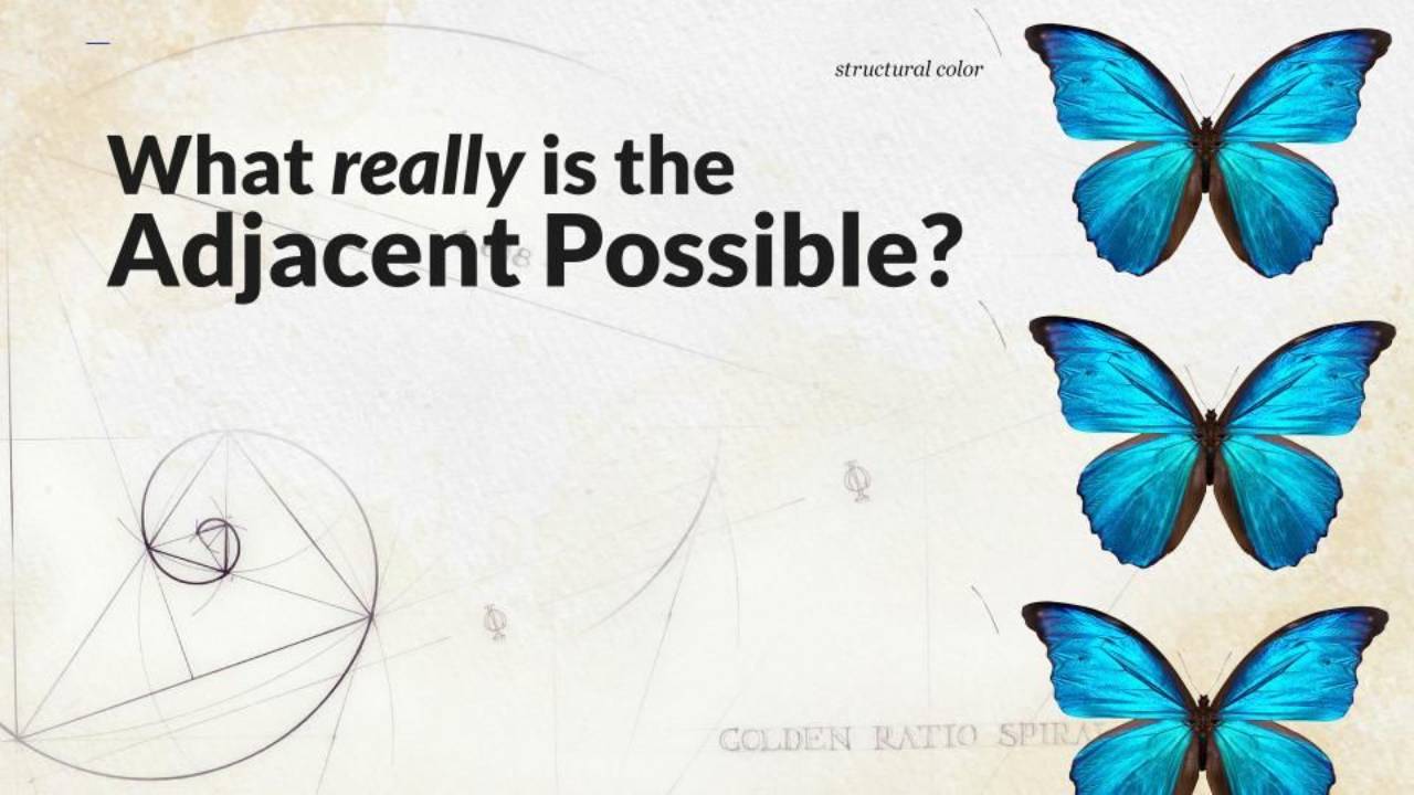 What really is the Adjacent Possible?