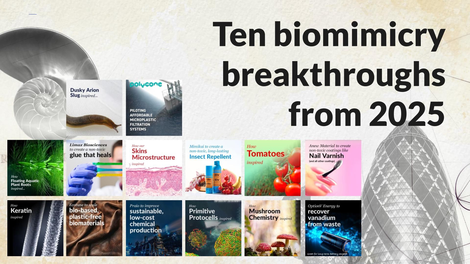 Ten Biomimicry Examples Breakthroughs from 2025