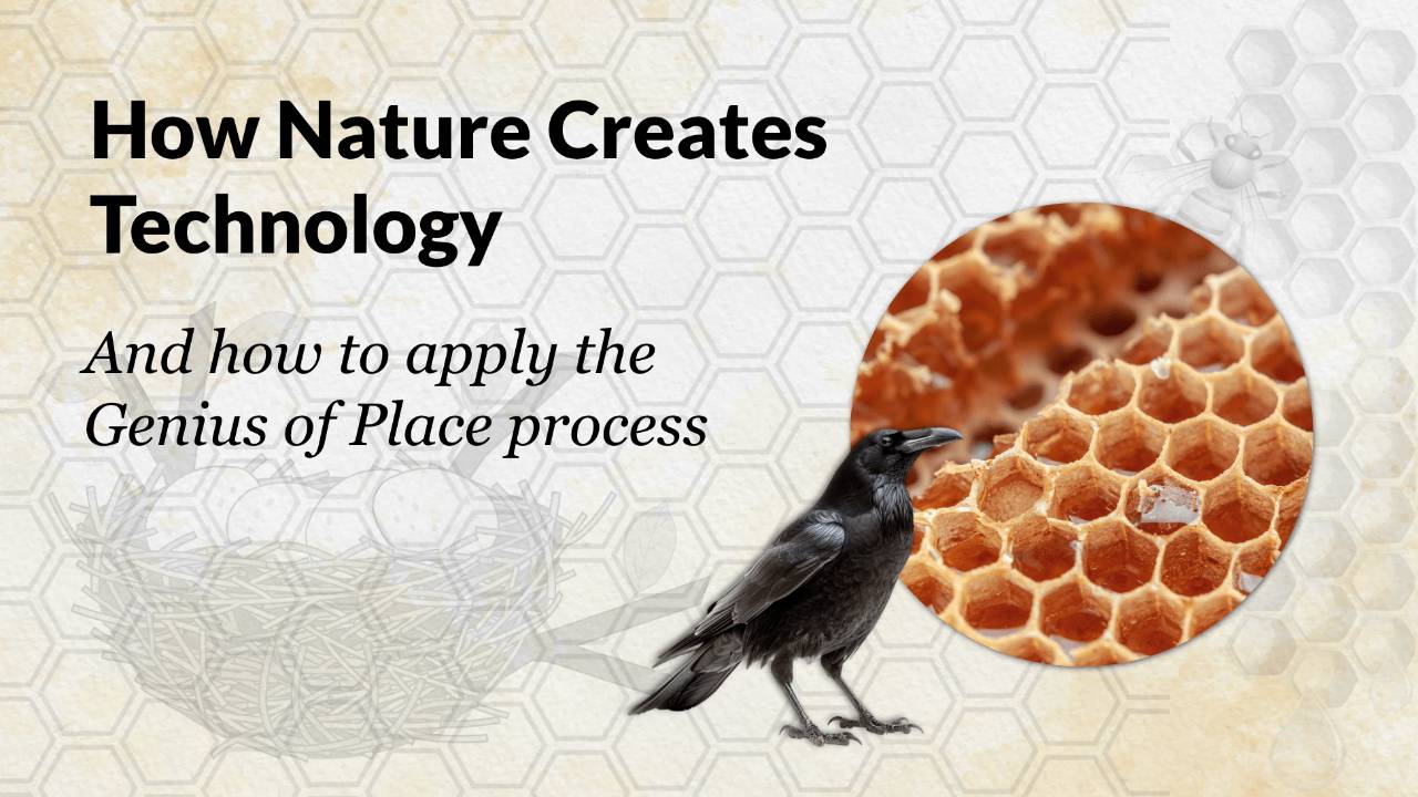 6 Examples of Technology in Nature