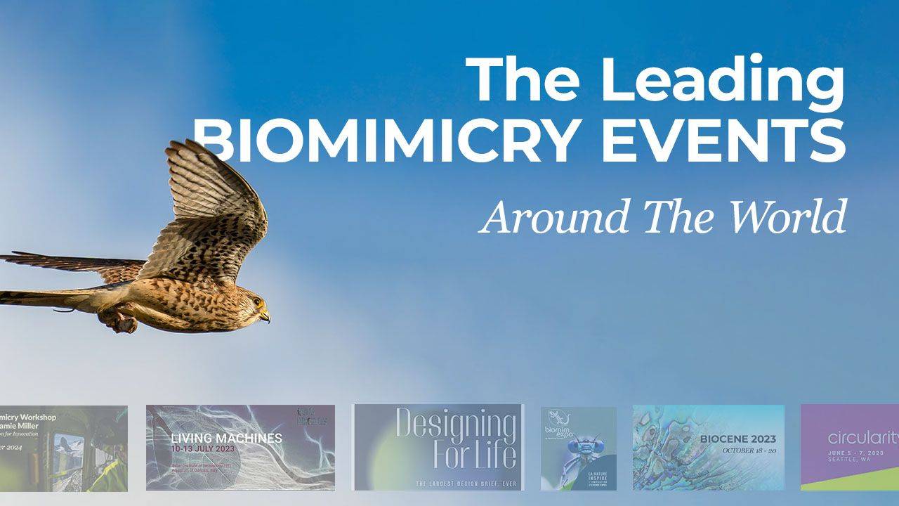 The Leading Biomimicry Events for 2026