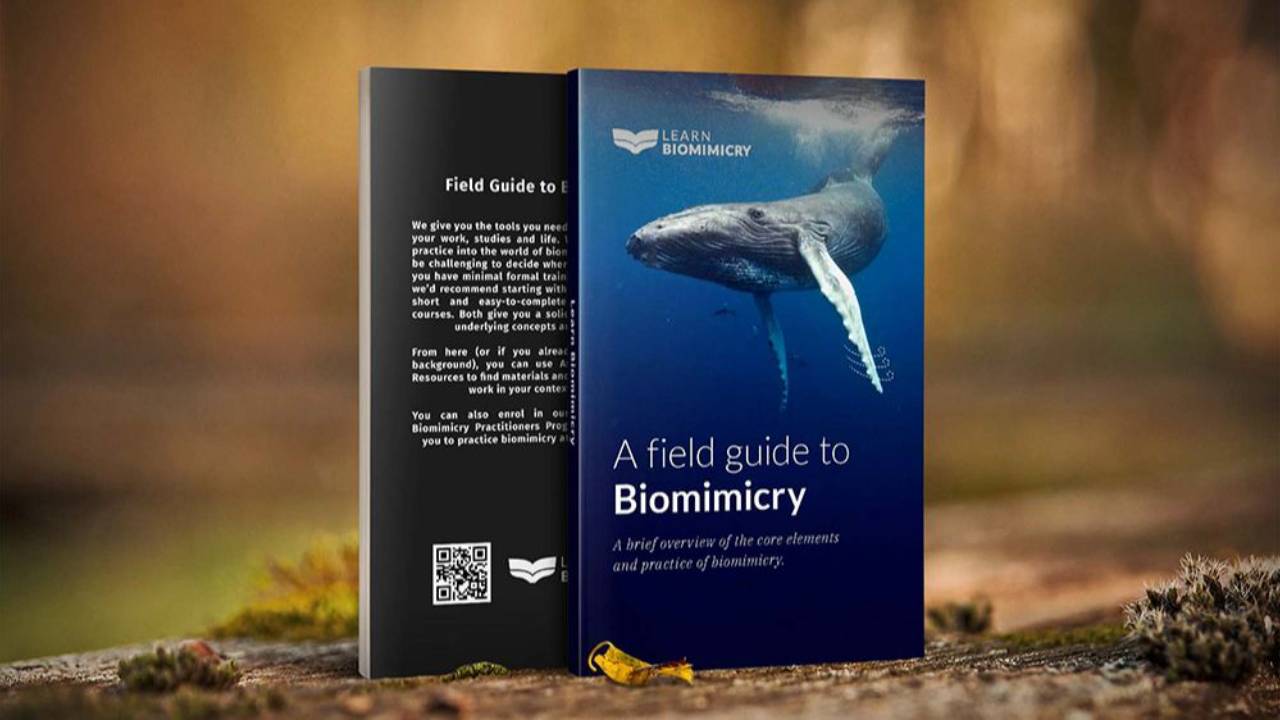 Free eBook: A Field Guide to Biomimicry