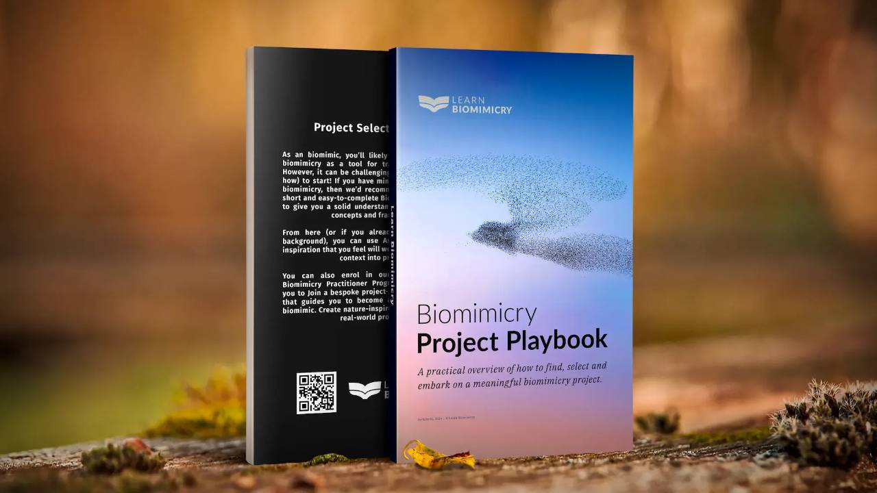Biomimicry Project Playbook Micro-Course