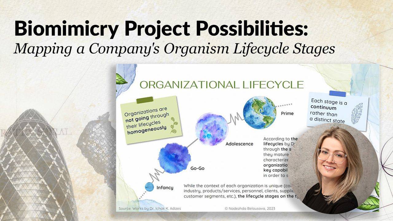 Project Possibilities: Mapping a Company's Organism Lifecycle Stages