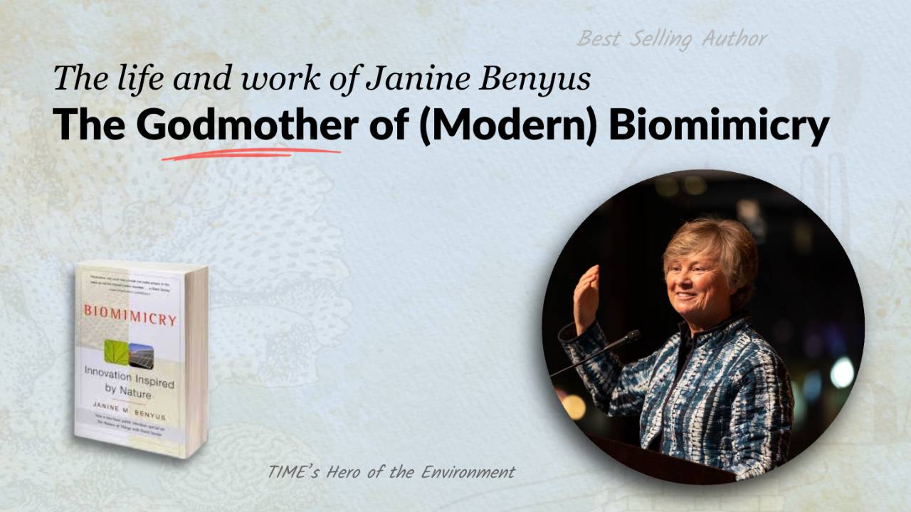 Janine Benyus: Meet the Godmother of (Modern) Biomimicry