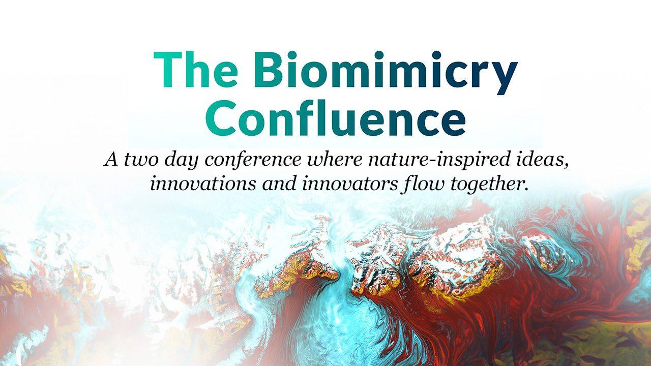 Biomimicry Confluence