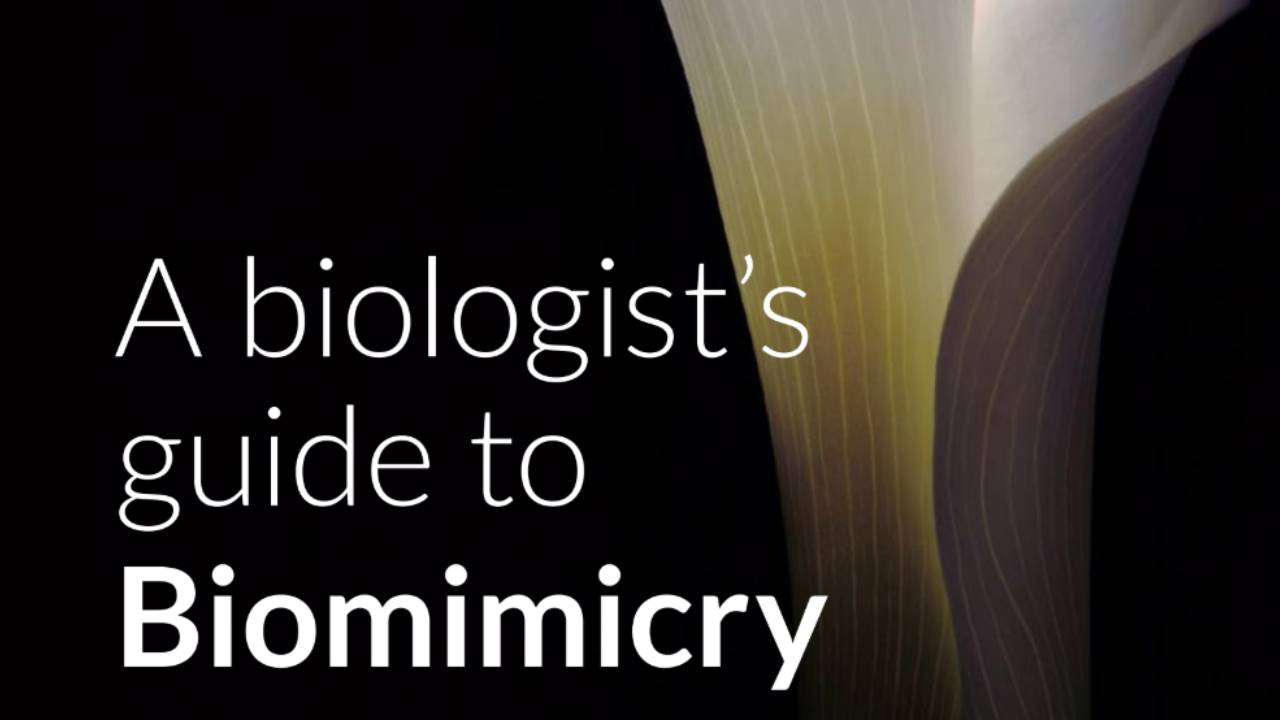 Free eBook: A Biologist's Guide to Biomimicry