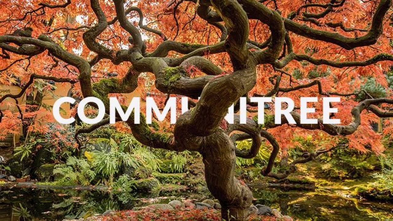 Learn Biomimicry Communitree