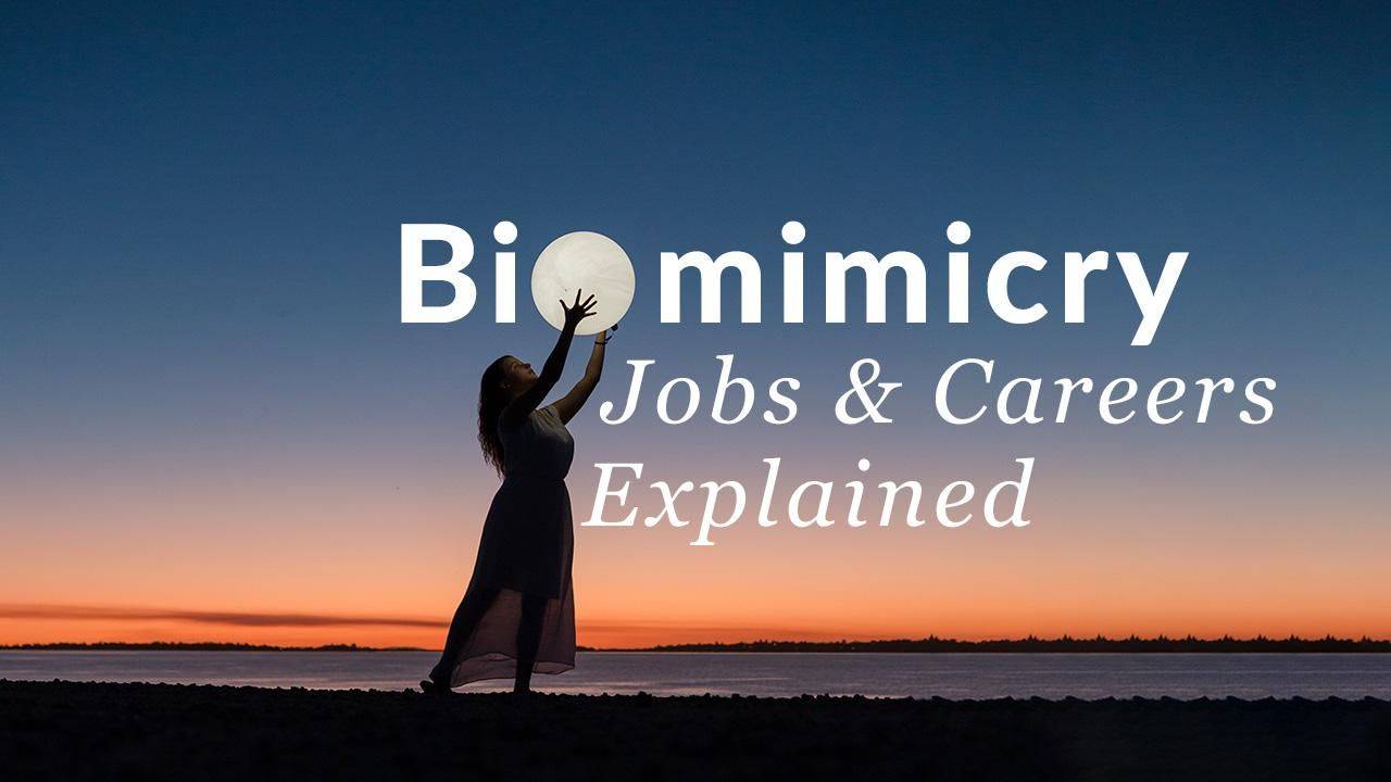 Biomimicry Jobs and Careers, Explained