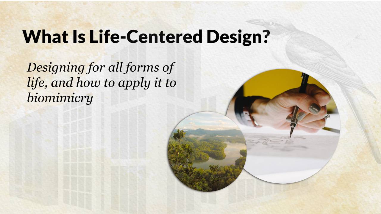 What is Life-Centered Design?