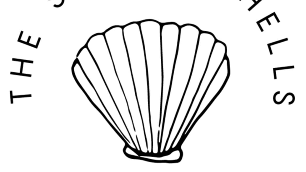 The Social Shells
