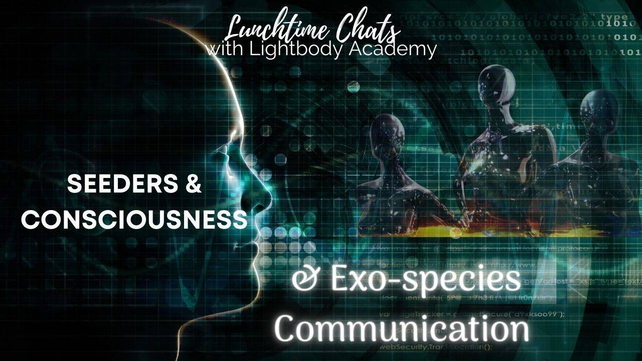 Communication with exo-species and our multi-dimensional journey