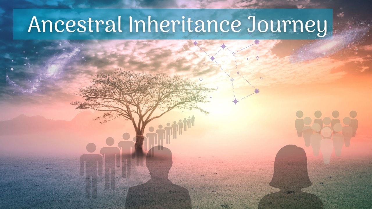 The Ancestral Inheritance Journey: The Patterns of Our Past