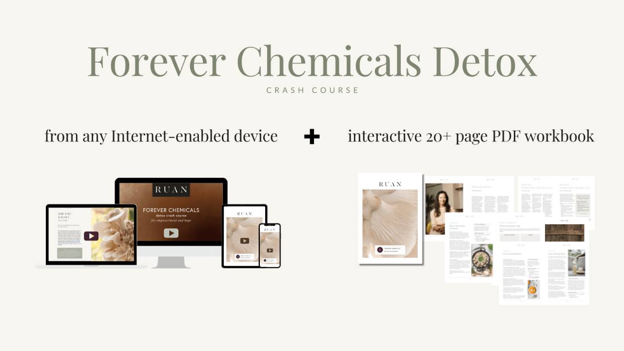 Forever Chemicals Detox Crash Course | Practical Nontoxic Living