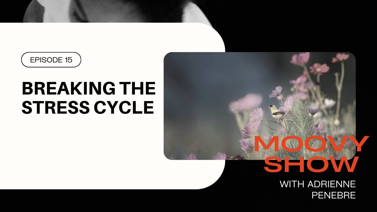 Anat Baniel Method: Stress Solutions for Women 50+